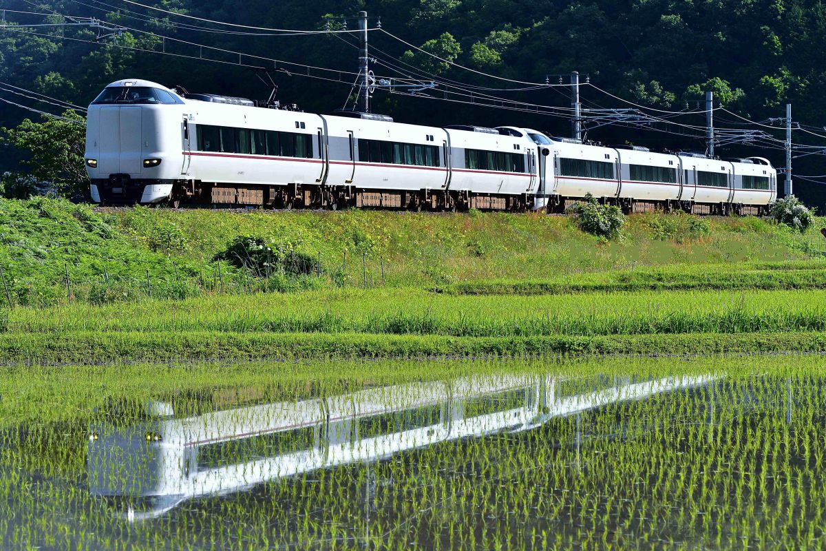 田植えが安定した頃 | GANREF