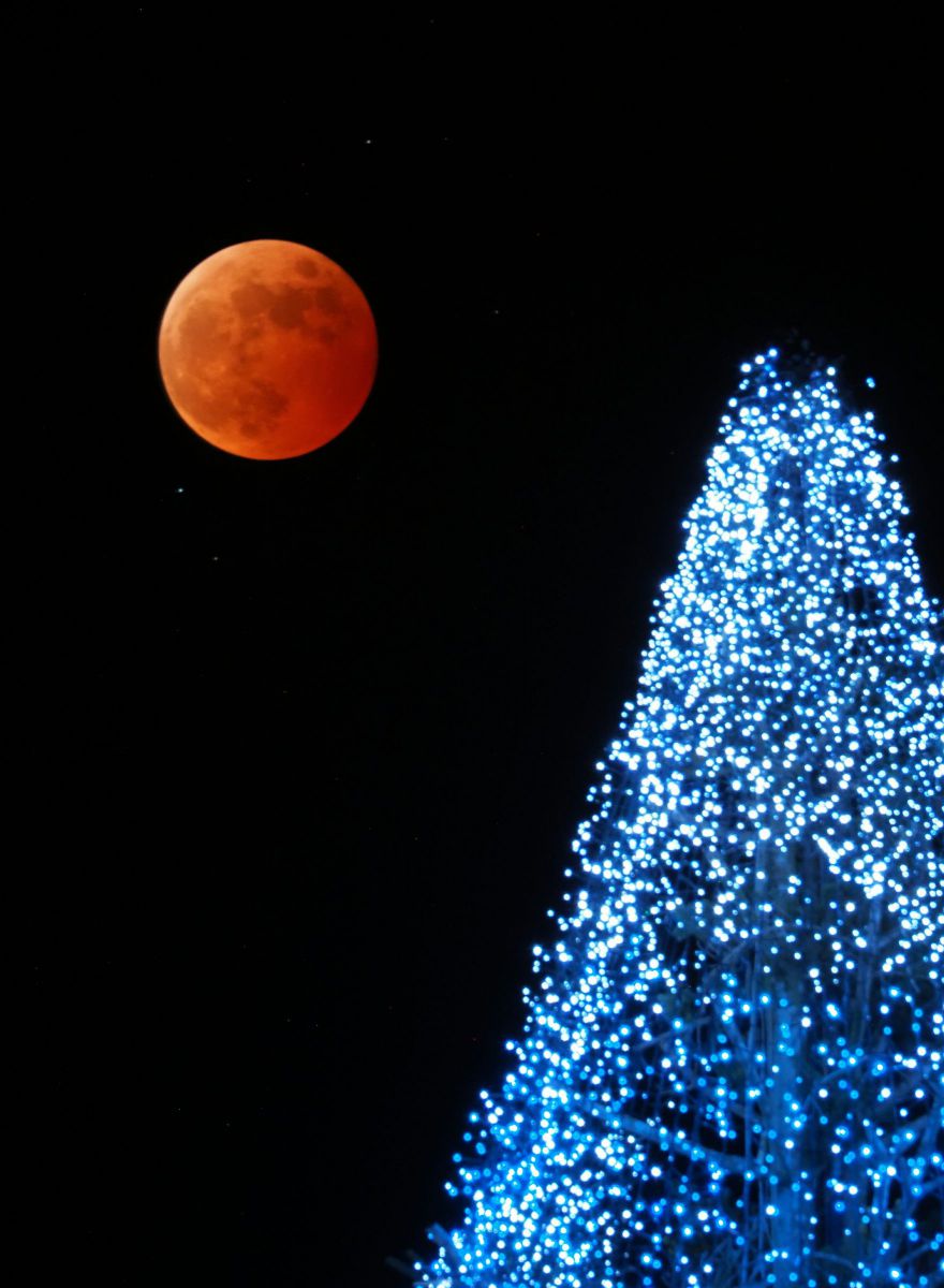 moon & tree | GANREF