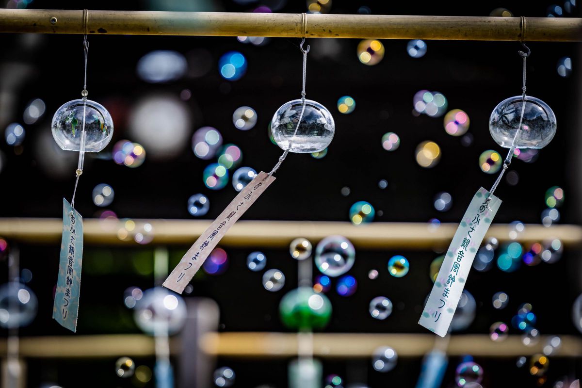 Cool Breezing Universe | GANREF