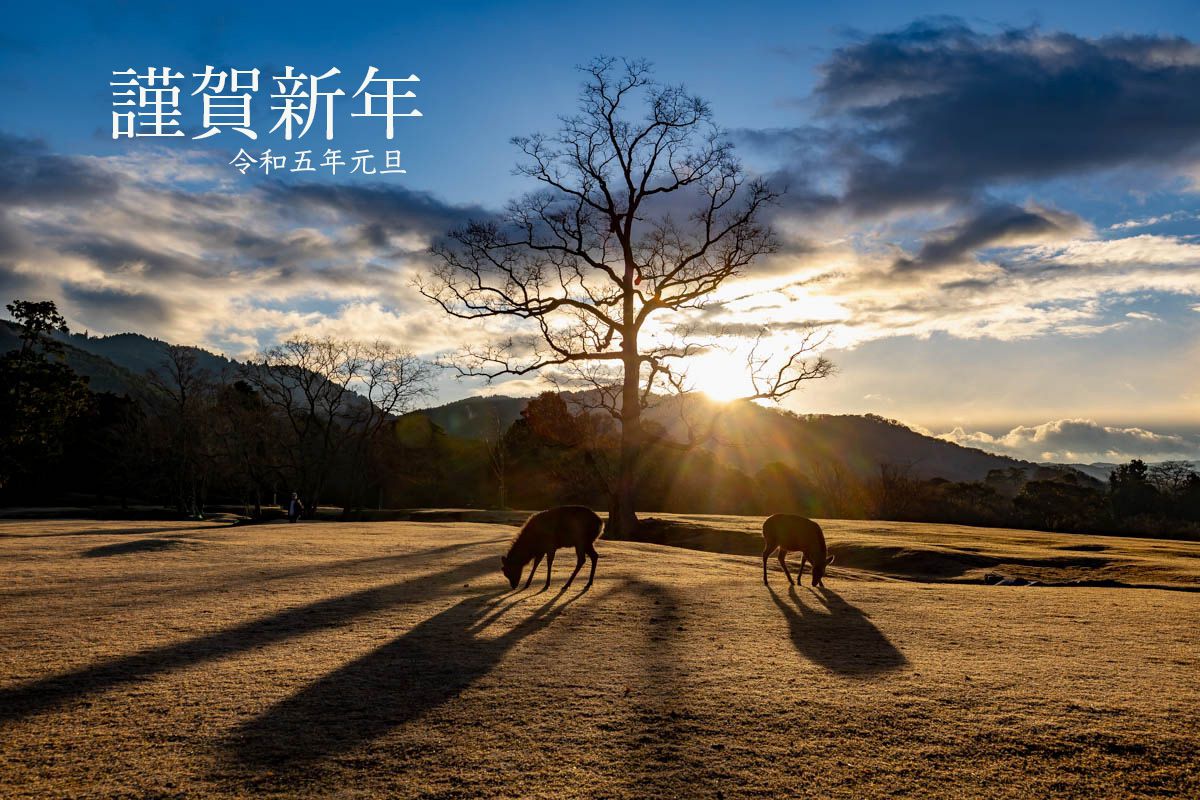 謹賀新年2023 | GANREF