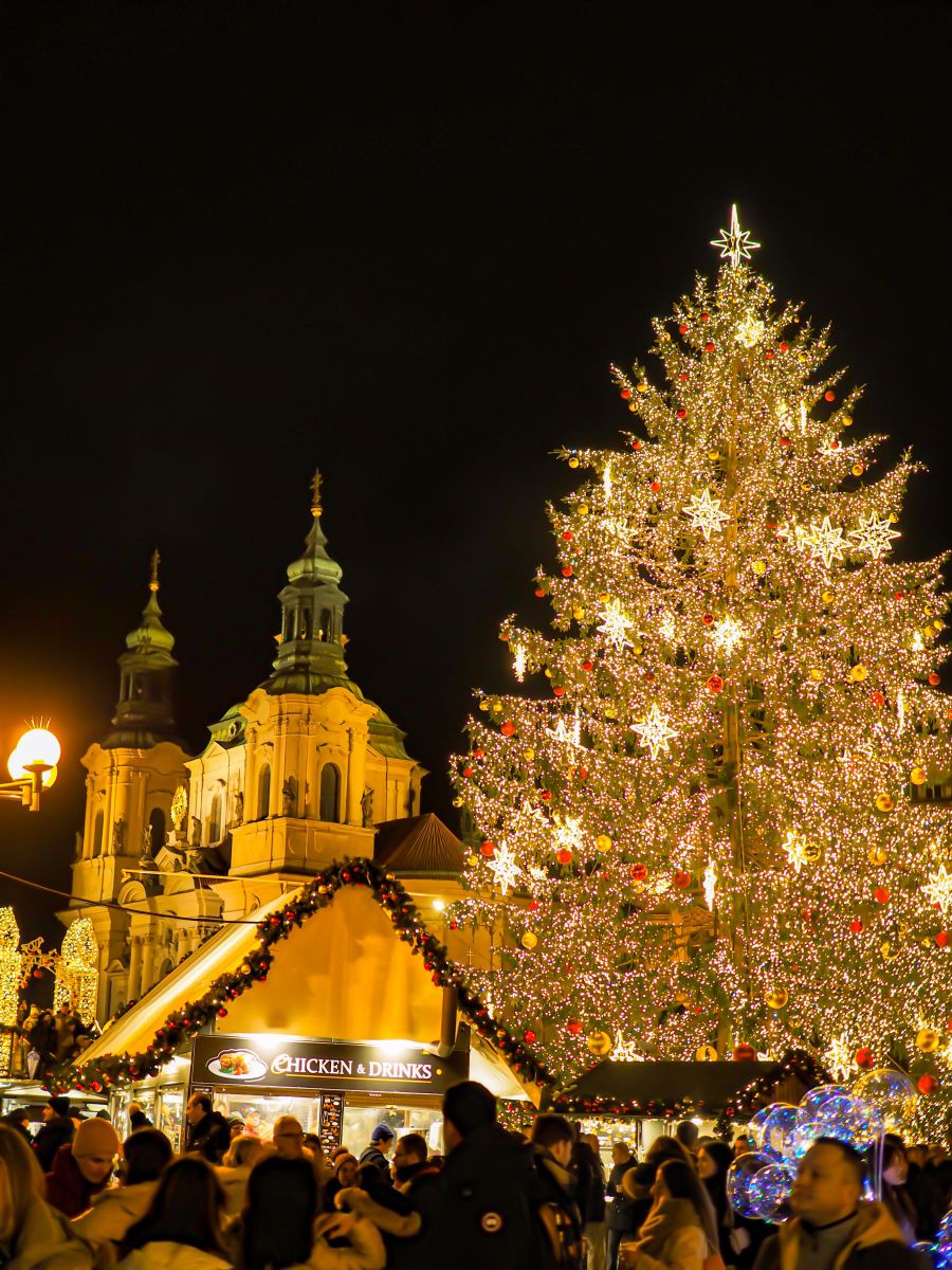 Special Christmas | GANREF