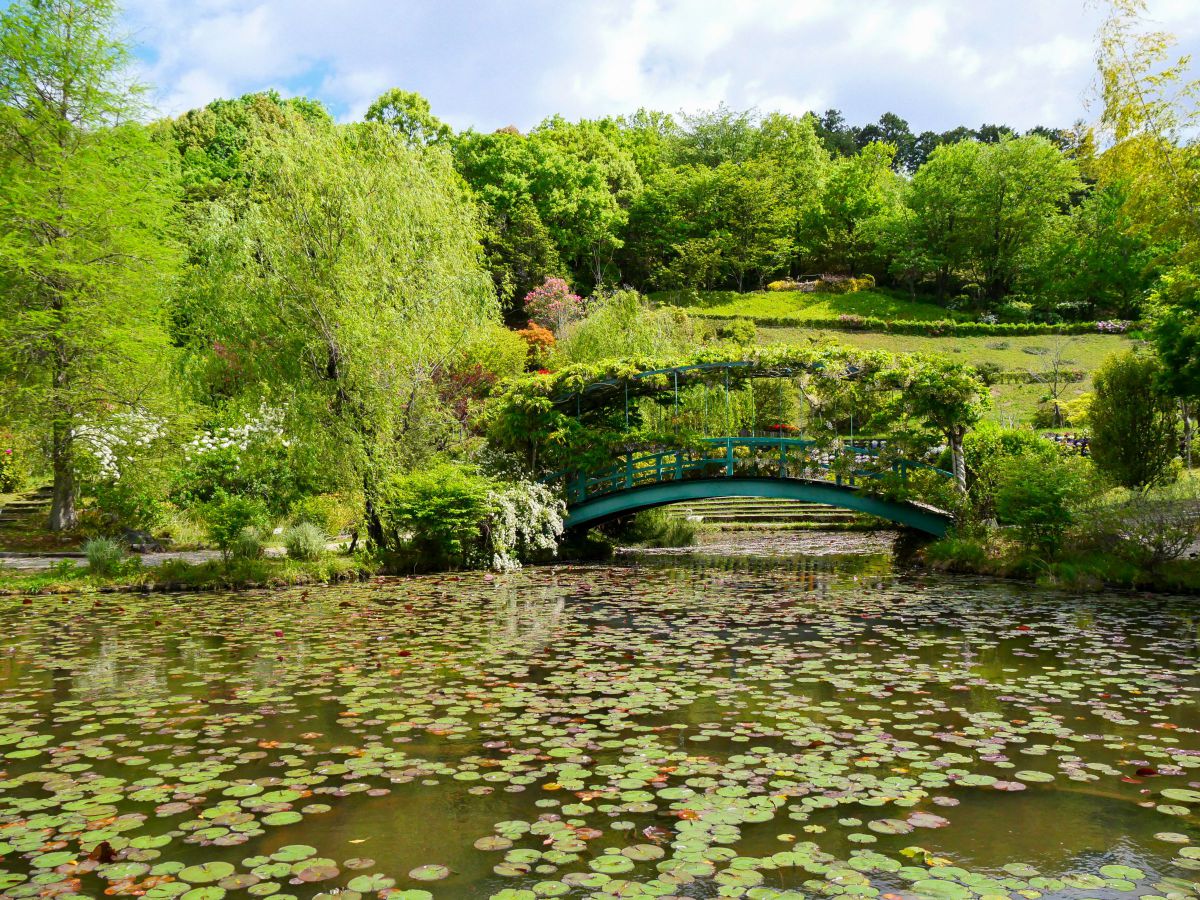 Monet’s Garden | GANREF