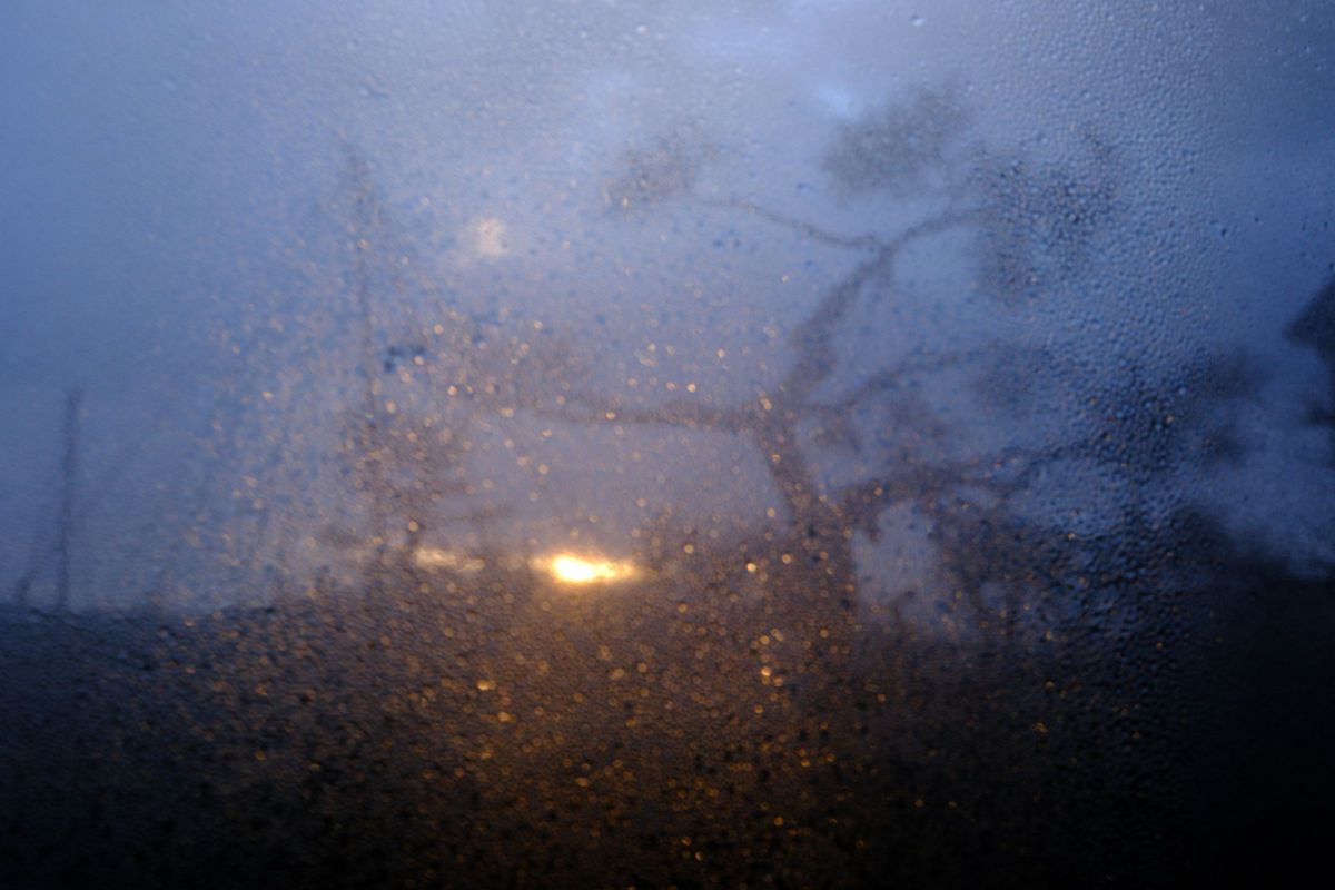 『結露のフィルター2025』② DSCF8946.JPG | GANREF