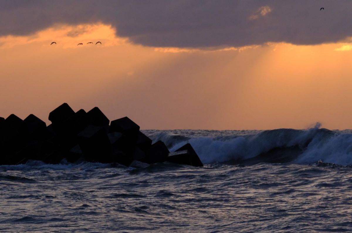 『大きな波 Come on ‼ 』 Ⅱ－①DSCF4359T.JPG | GANREF