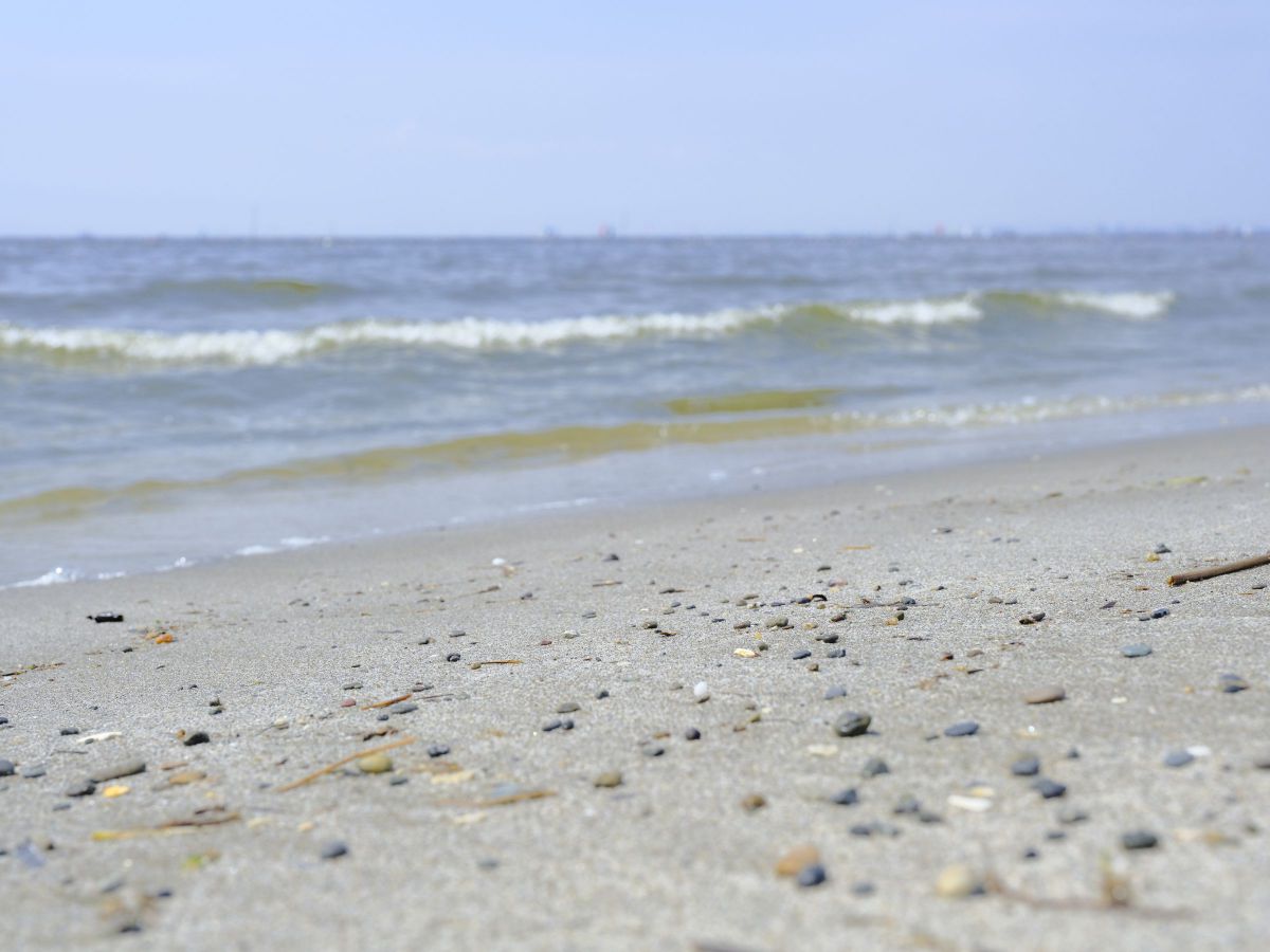 稲毛の浜：Project [52 Weeks]: 31/52 | GANREF