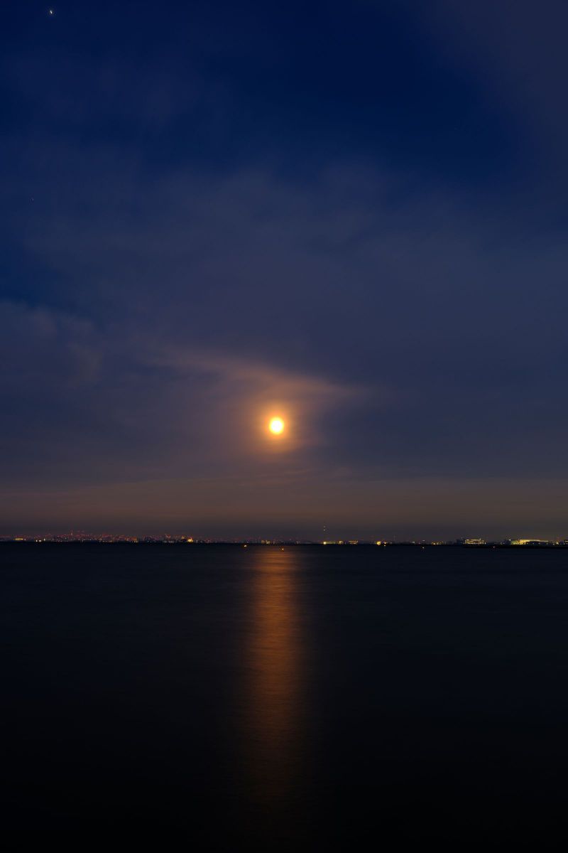 夜の海：Project [52 Weeks]: 40/52 | GANREF