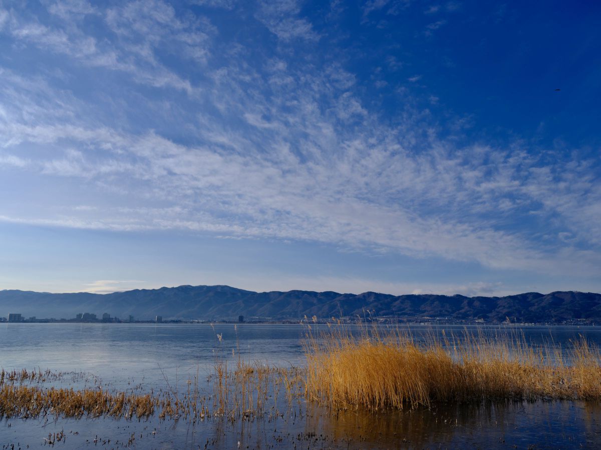 諏訪湖の朝：Project [52 Weeks]: 49/52 | GANREF