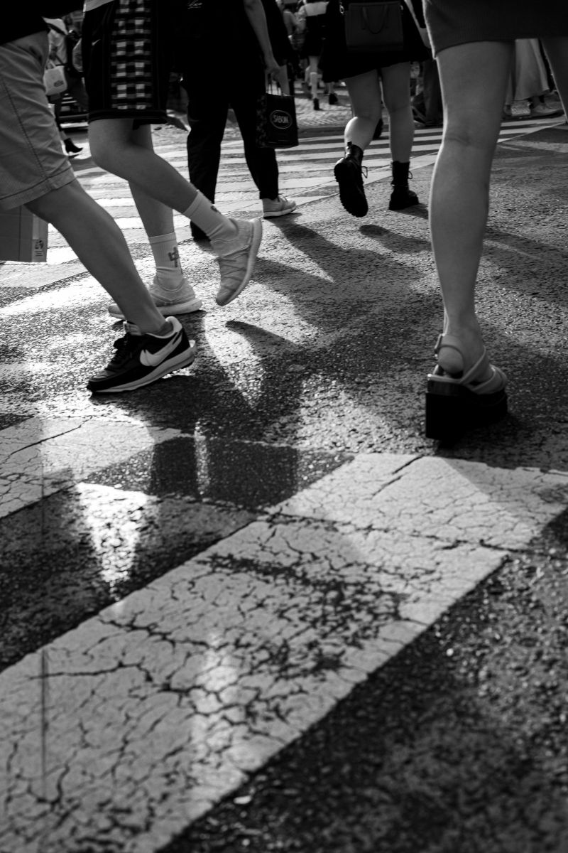 step by step | GANREF