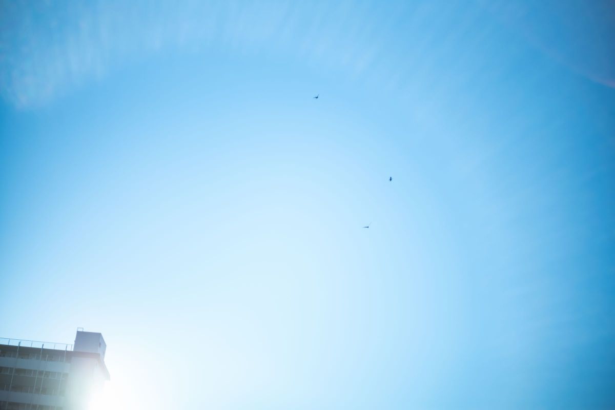 Blue Sky White | GANREF