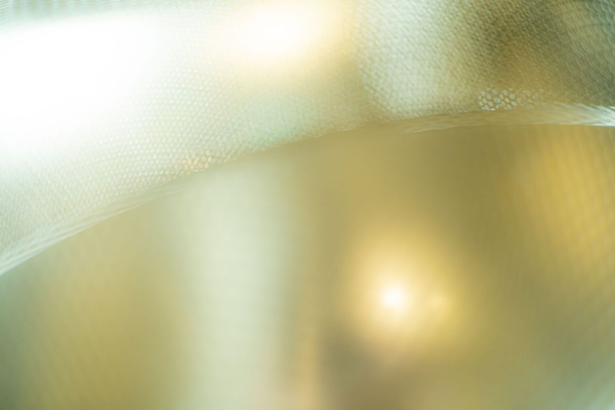 texture of light | GANREF