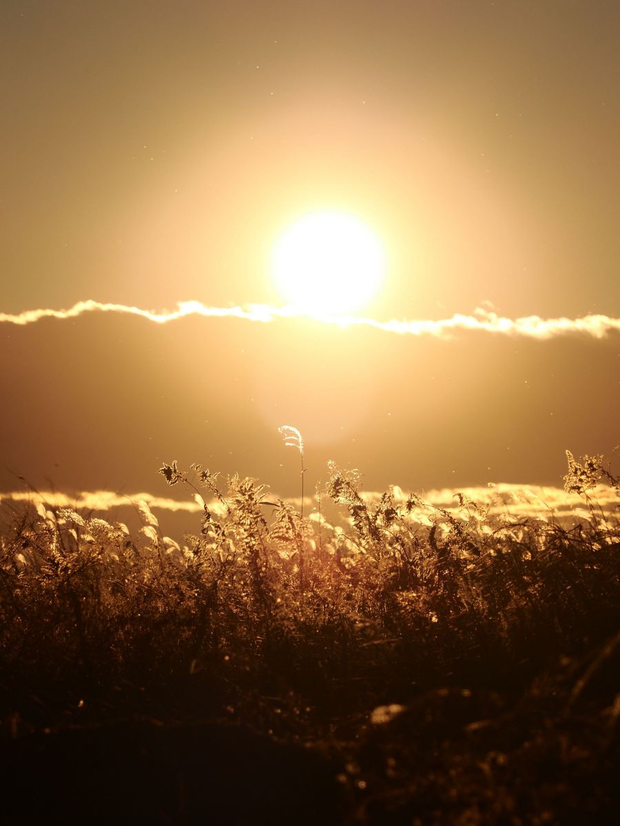 光を浴びて | GANREF