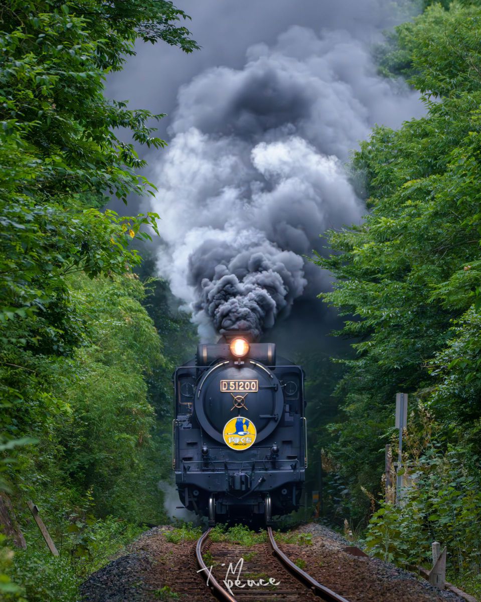 SLやまぐち号 | GANREF