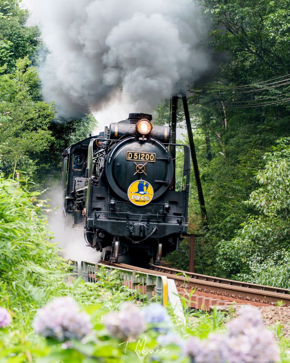 紫陽花とSL | GANREF