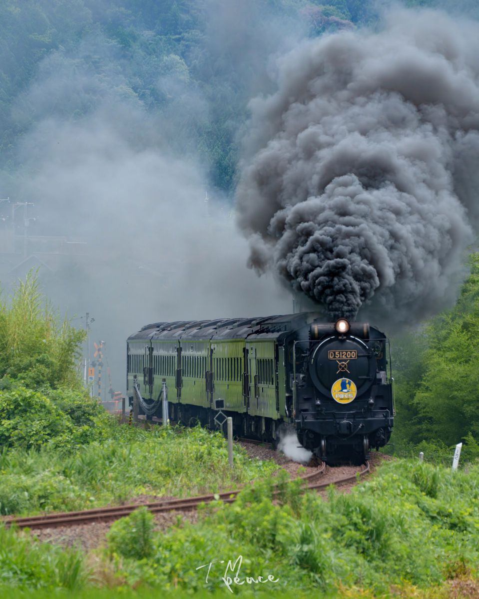 SLやまぐち号 | GANREF