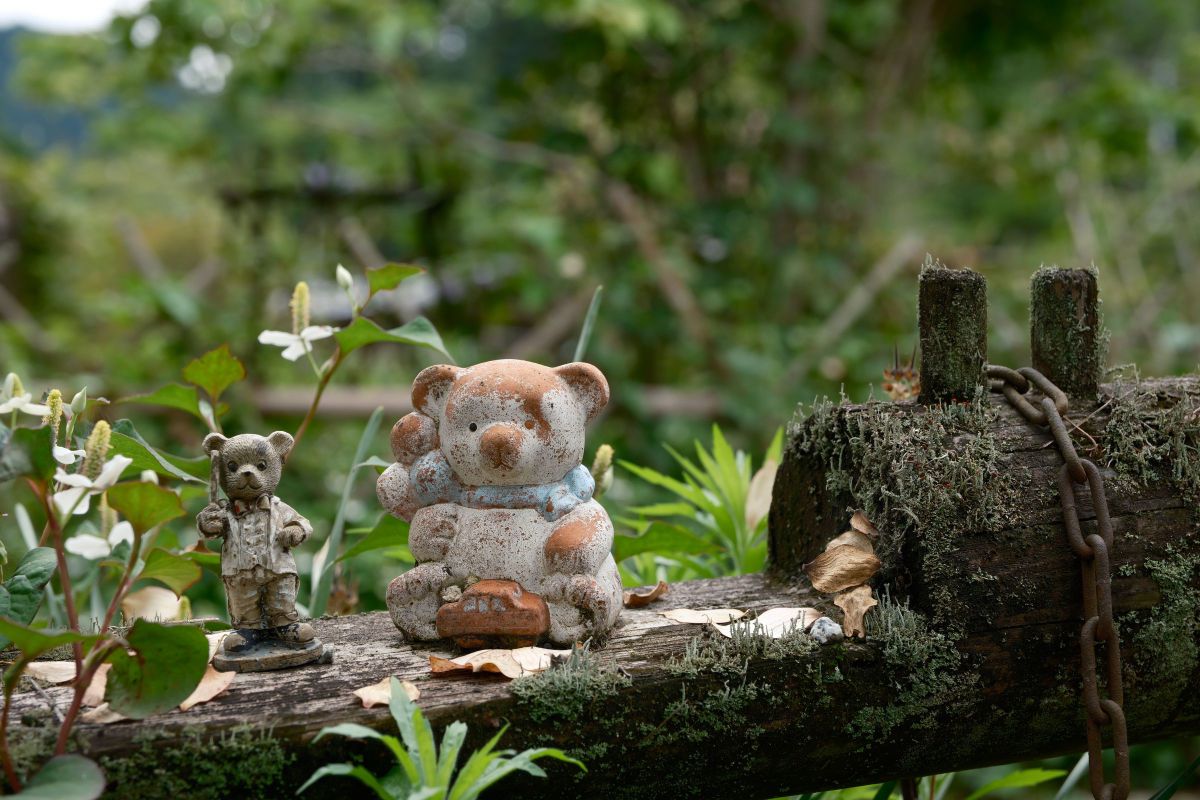 森の妖精 | GANREF