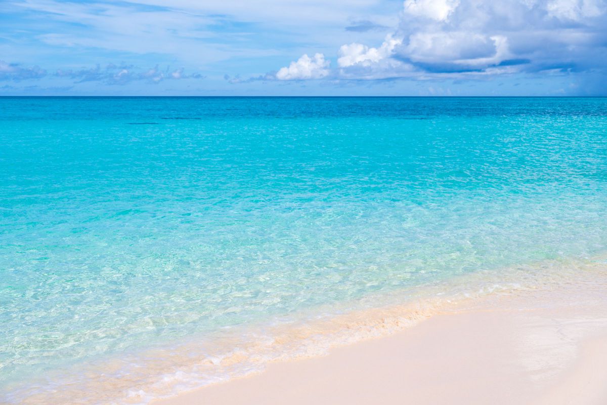 MIYAKO BLUE | GANREF