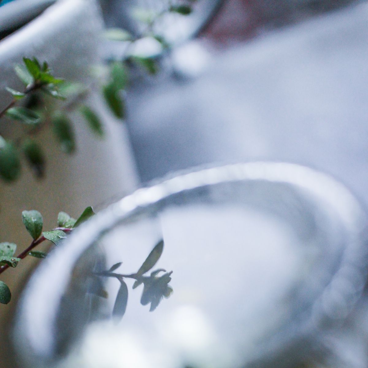 キヤノン EOS M2 レビュー 第2回目（ボケ味を楽しむ） | GANREF