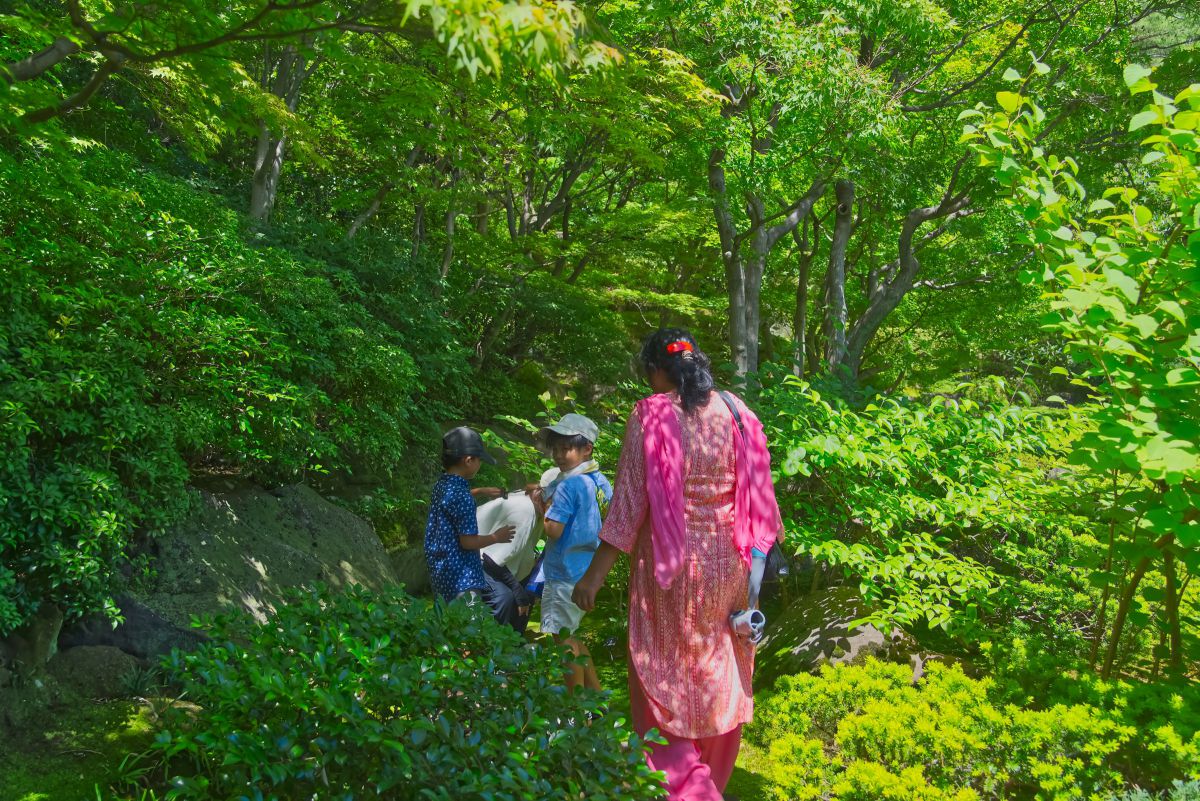 庭園散策 | GANREF