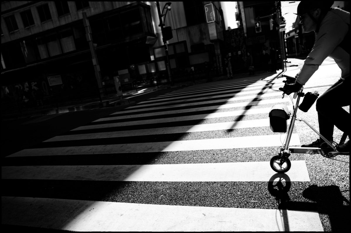 Light to Shadow. | GANREF