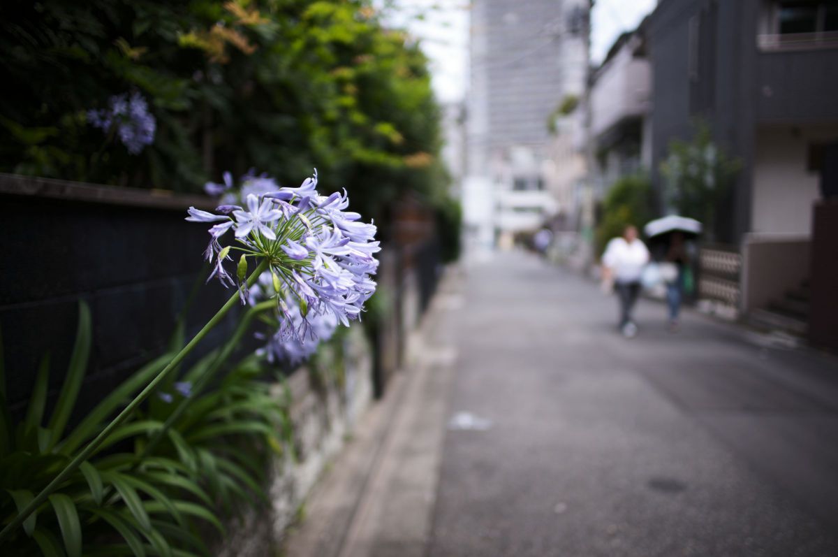 代官山にて | GANREF