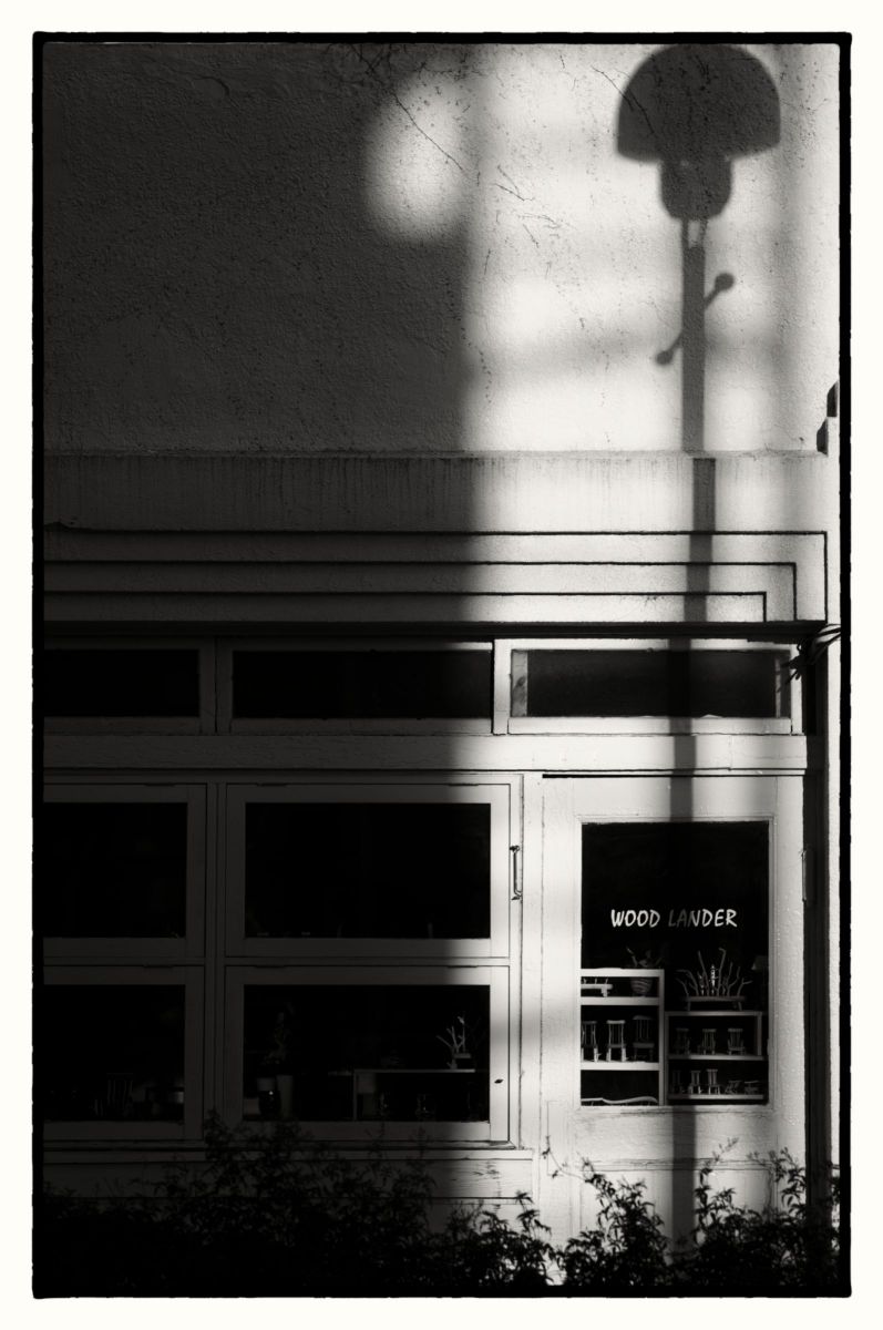 shadow & light | GANREF