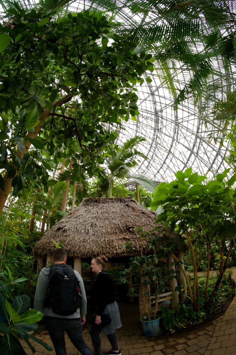 The world where Hansel & Gretel got lost | GANREF