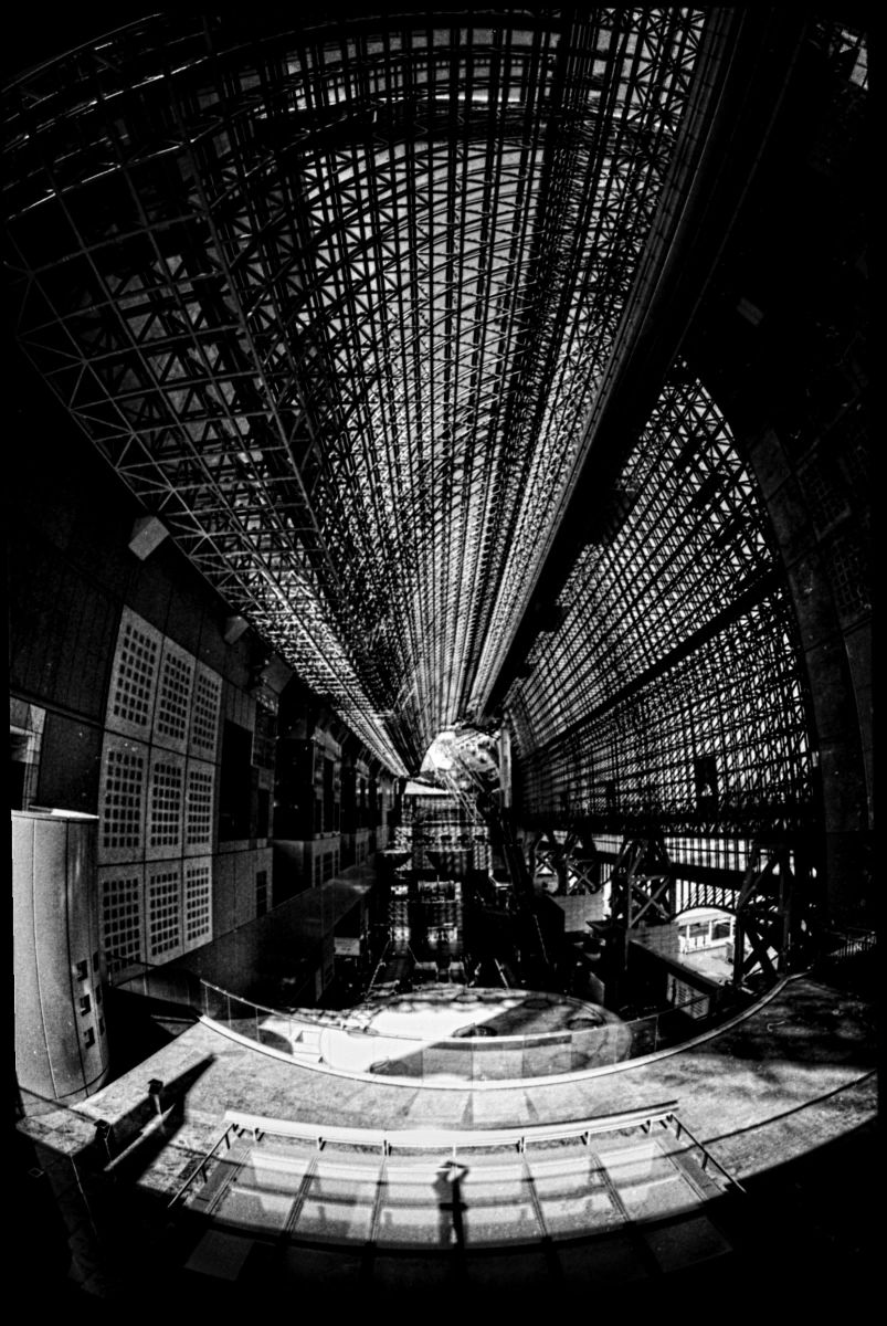 A bit self portrait in the shadow. | GANREF