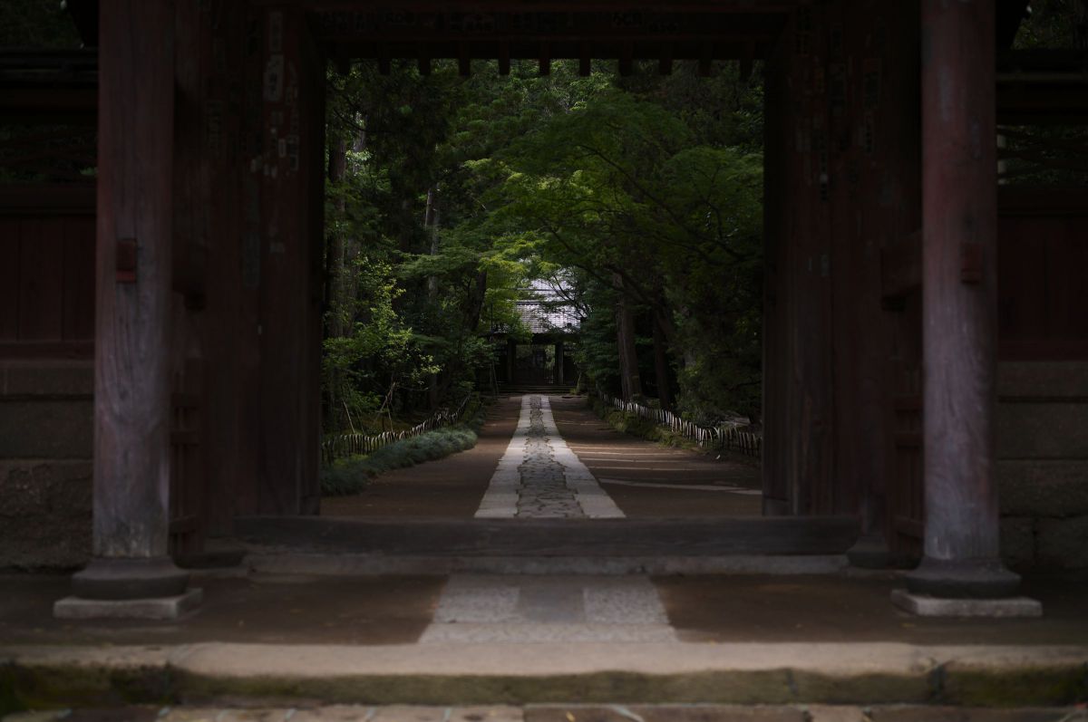 into the green - prologue. | GANREF