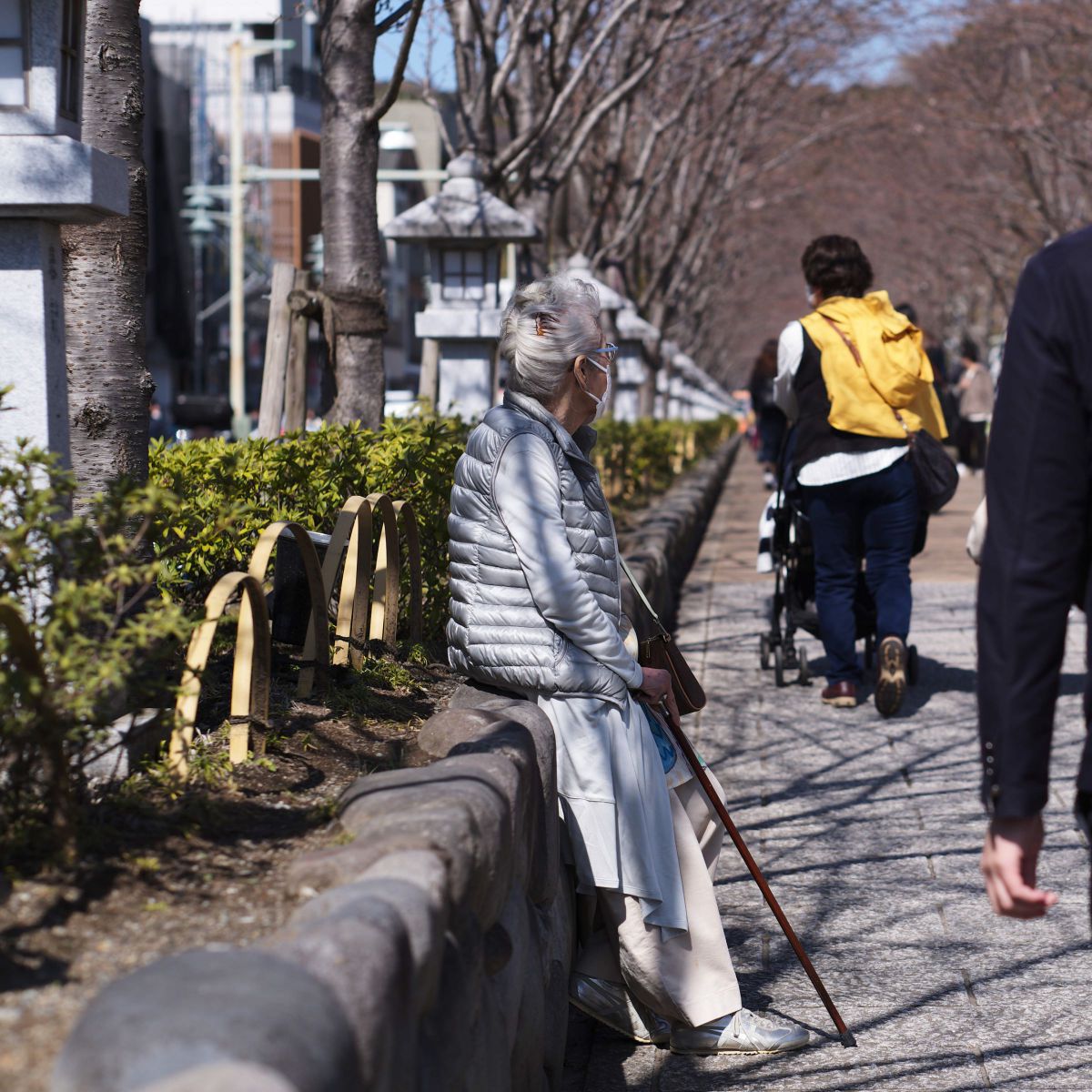 silver lady | GANREF