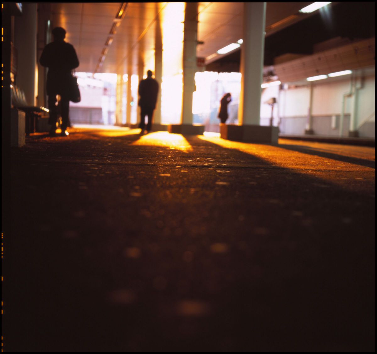 early morning warm. | GANREF