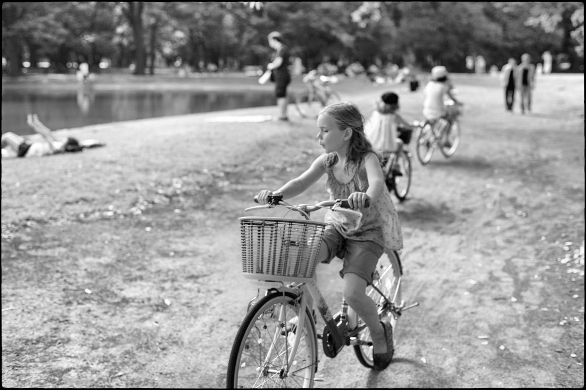 feel the wind. | GANREF