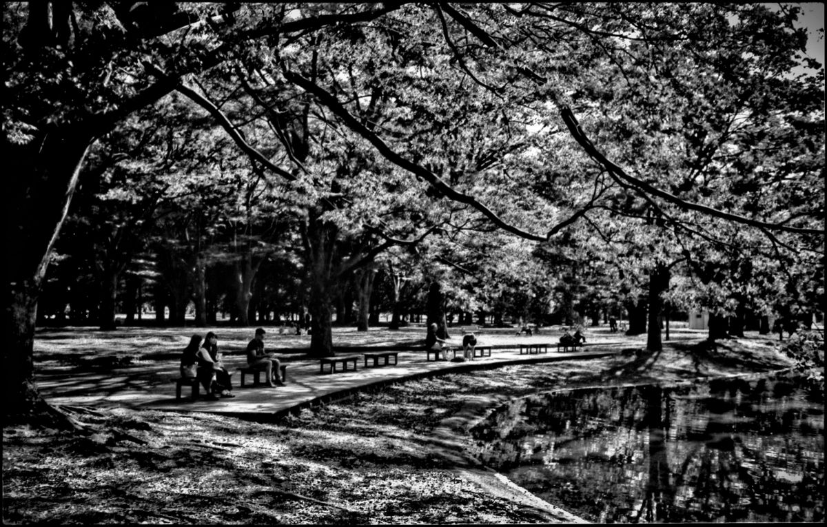 The Festival of Highlight & Shadow. | GANREF