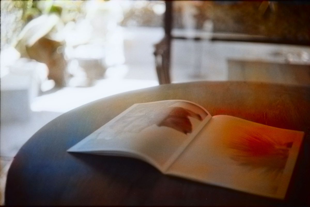 photo on photo. | GANREF