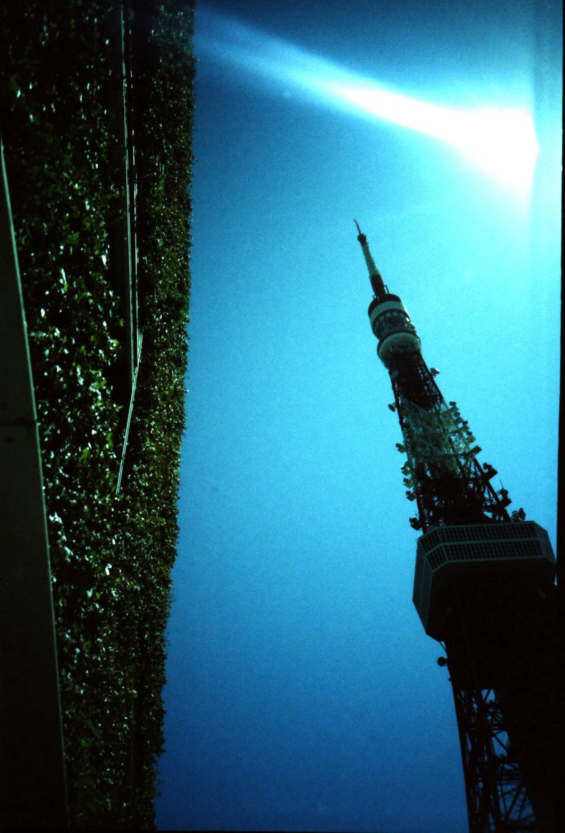 HELLO TOKYO | GANREF