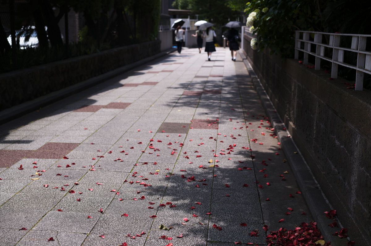 broken heart - 砕け散った恋 - | GANREF