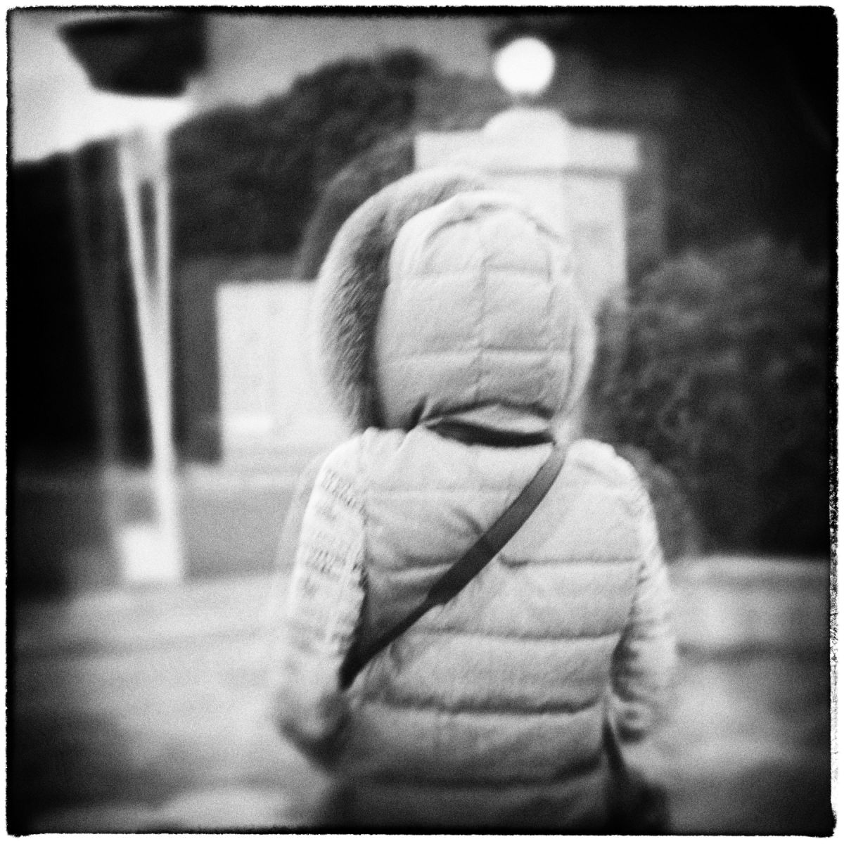 A cold November day. | GANREF