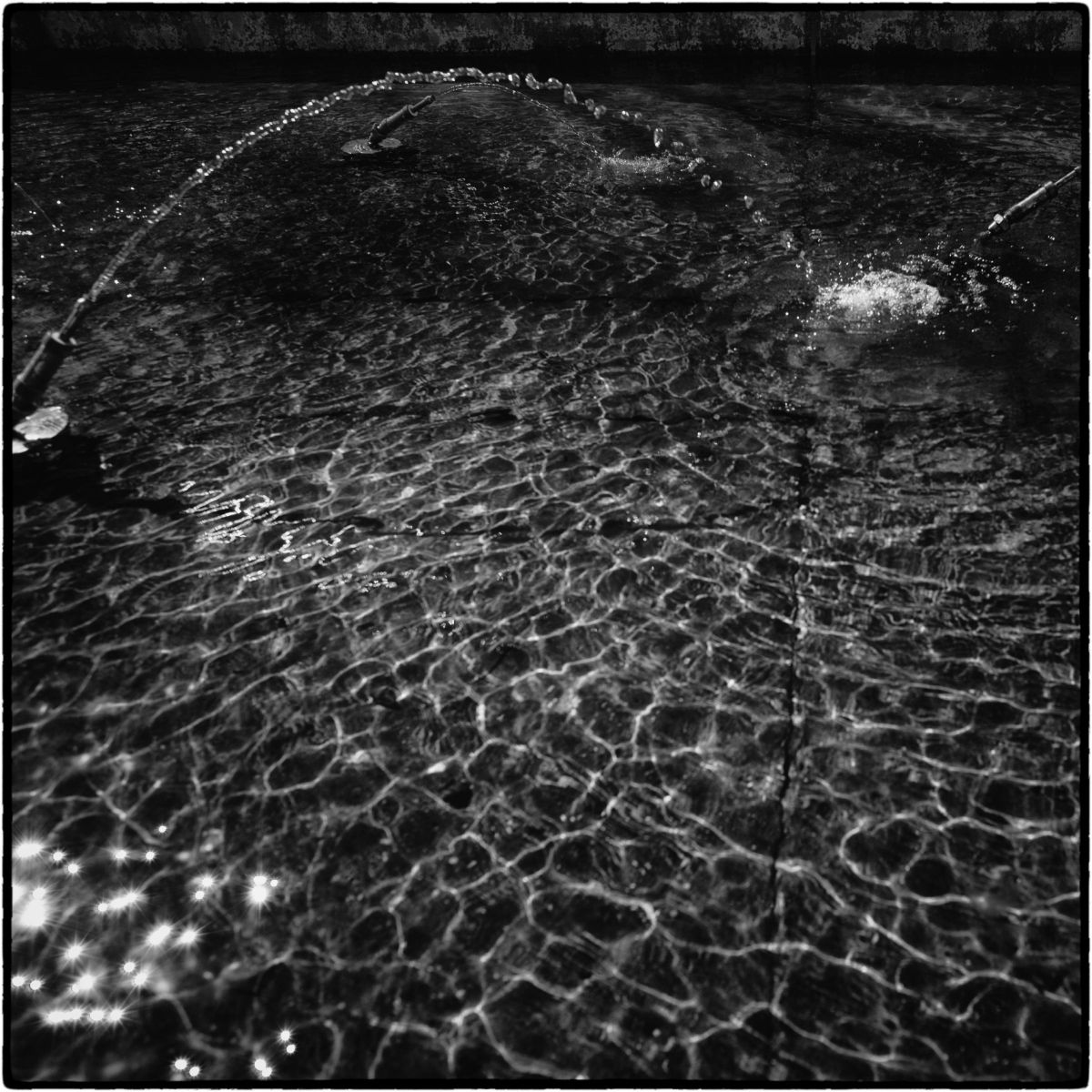 scales on water | GANREF