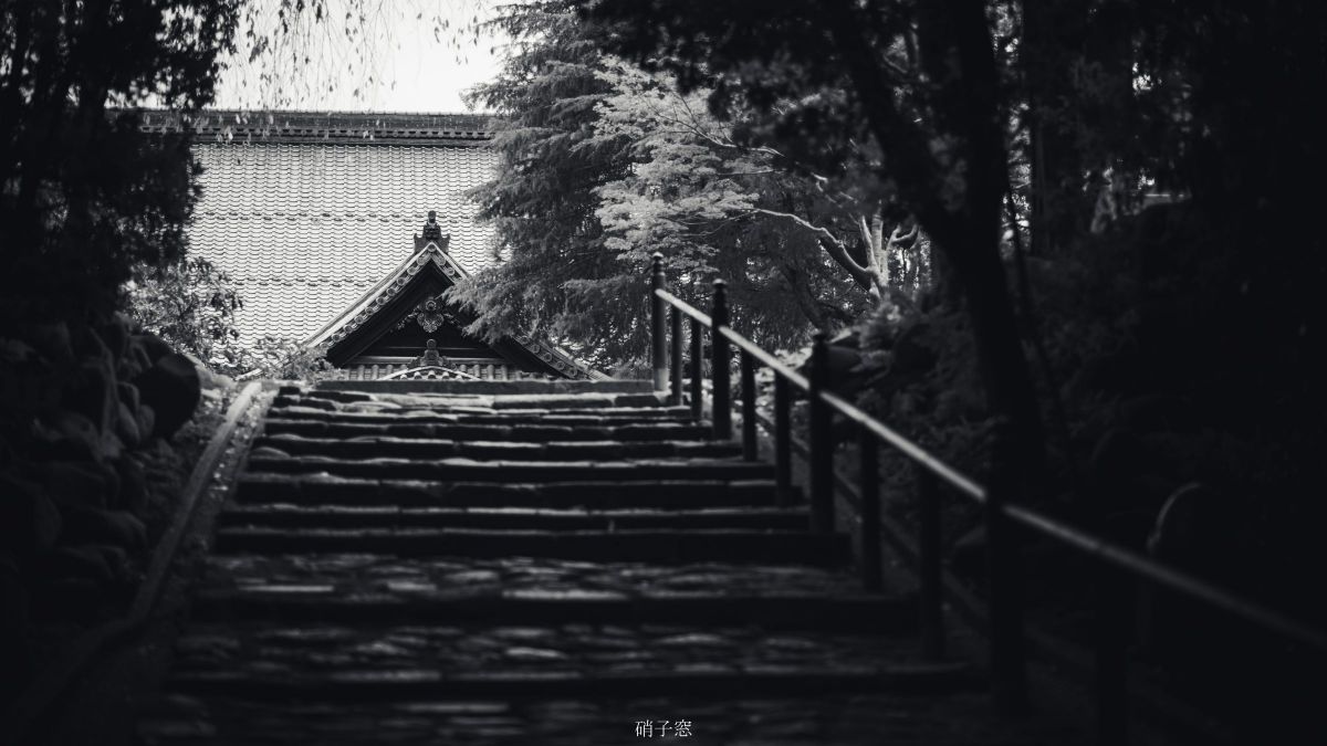 STONE STEPS | GANREF