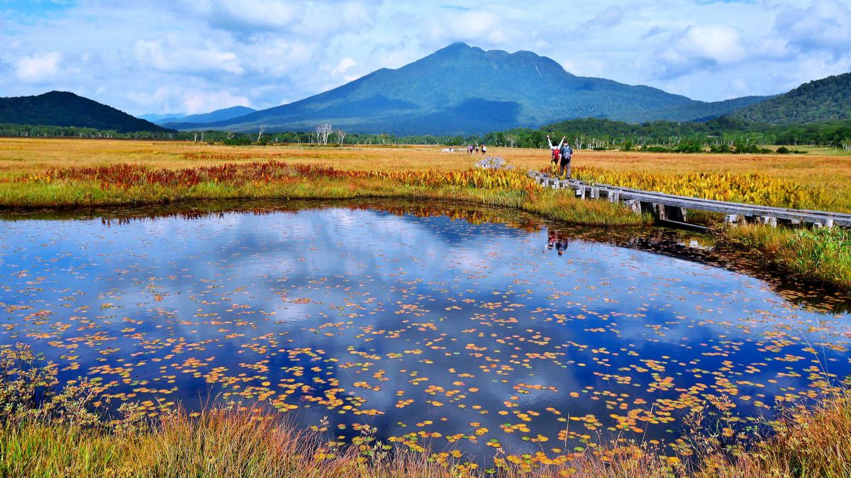 サインはV | GANREF