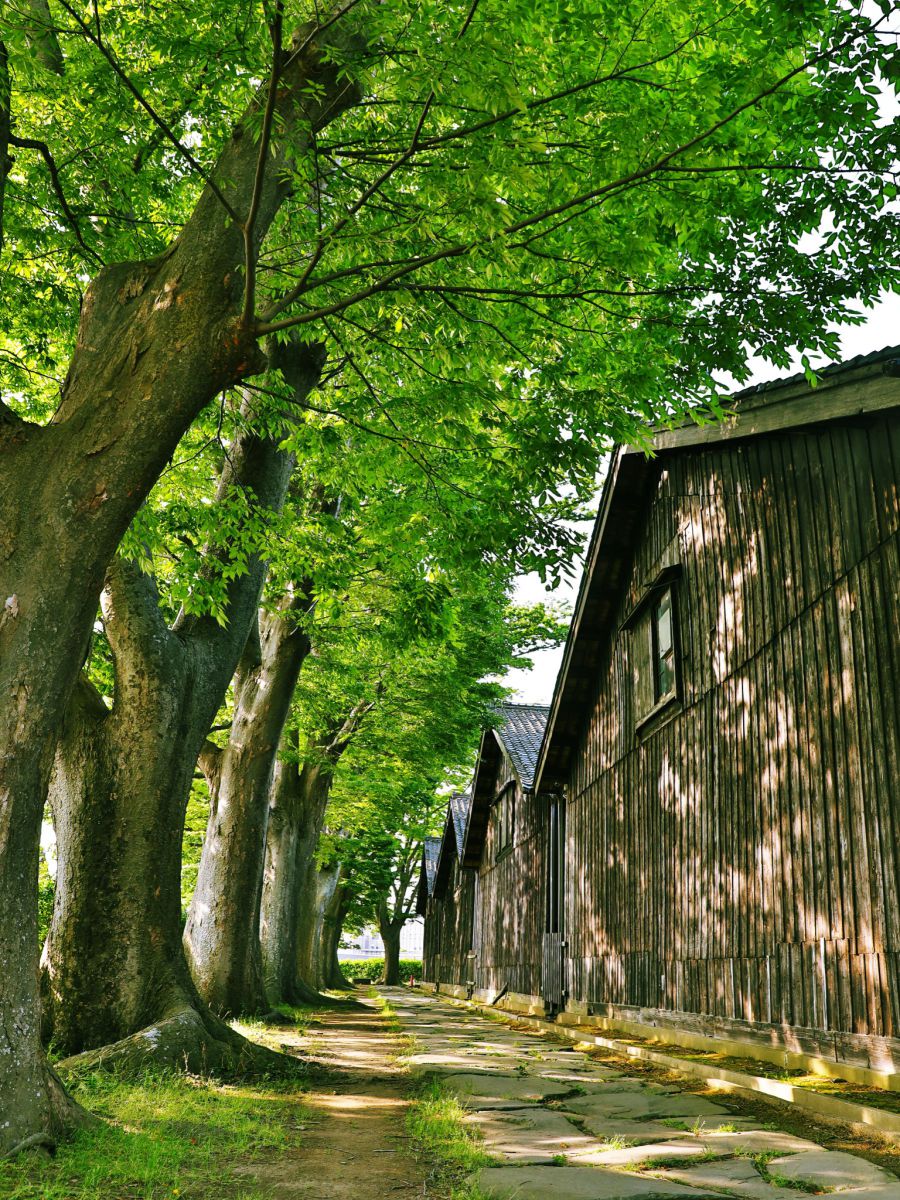 ノスタルジア | GANREF