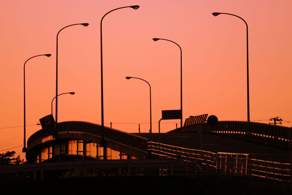 orange & black | GANREF