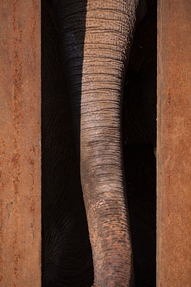 hard and soft | GANREF