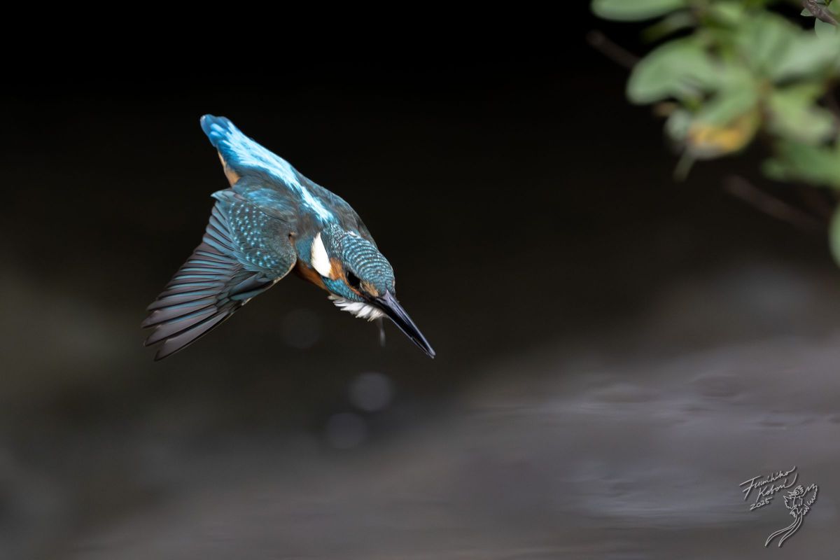 20250125_00738 | GANREF