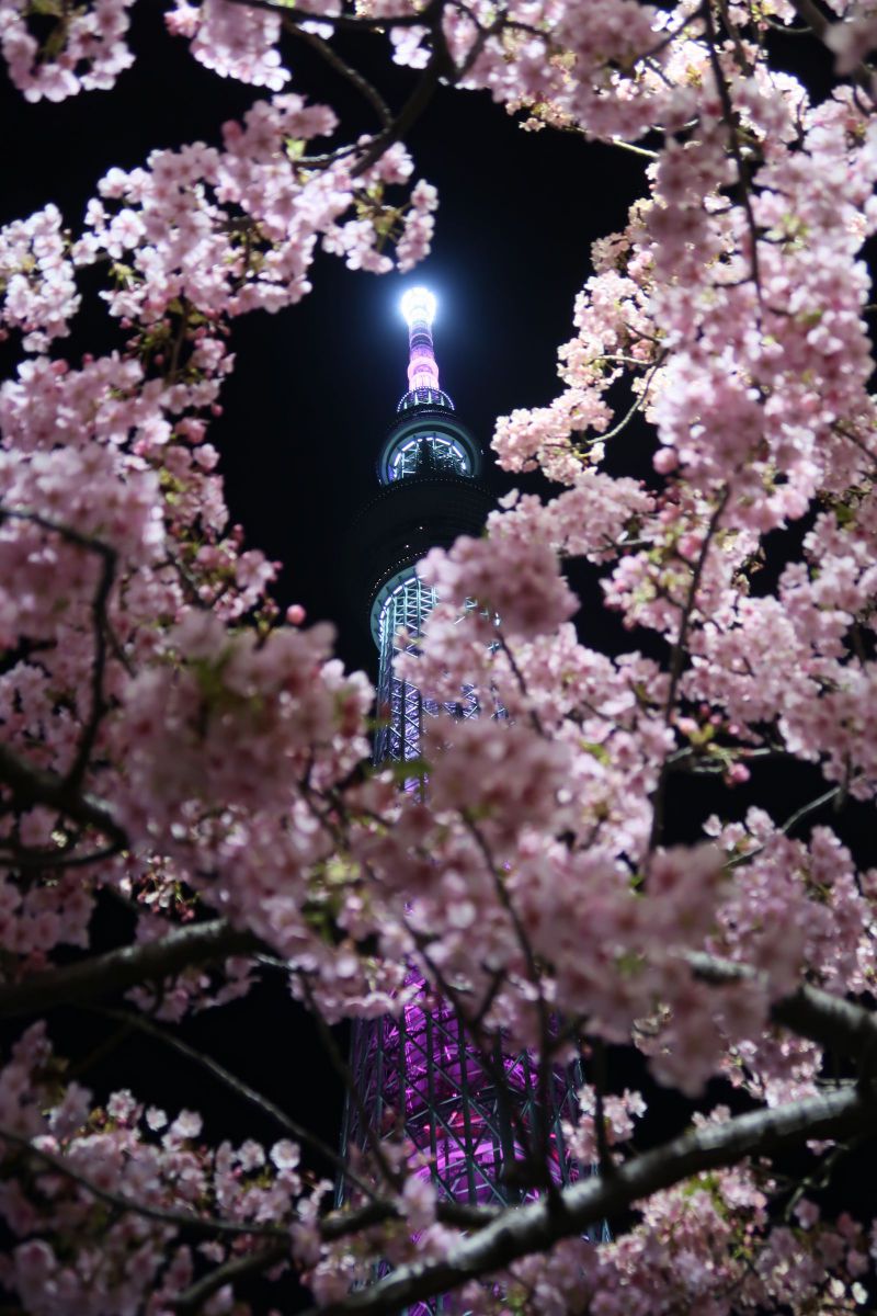 IMG_0652.jpeg | GANREF