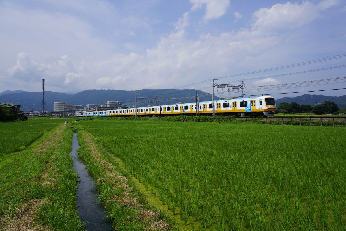 水田もこ | GANREF