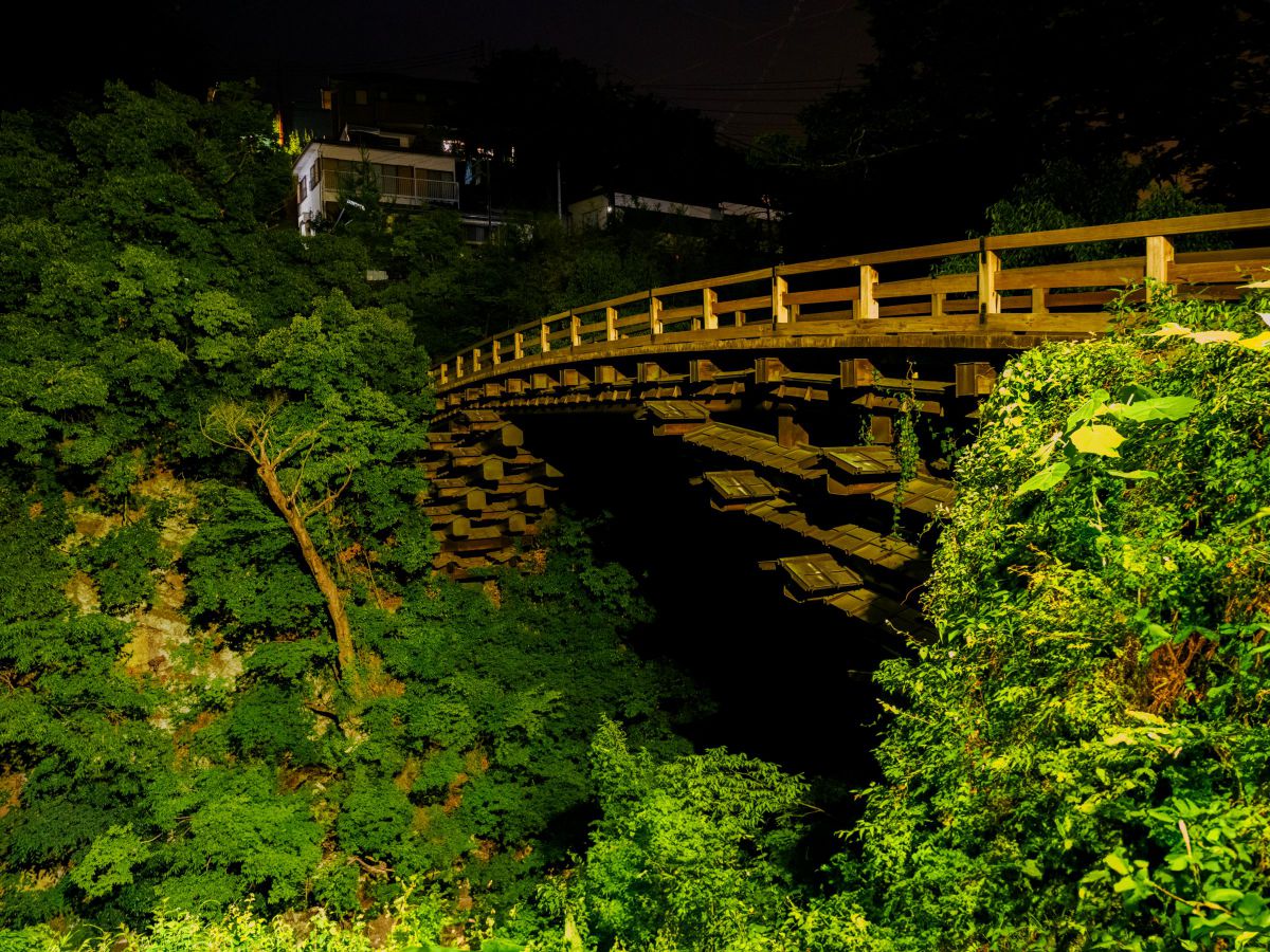 Monkey bridge | GANREF