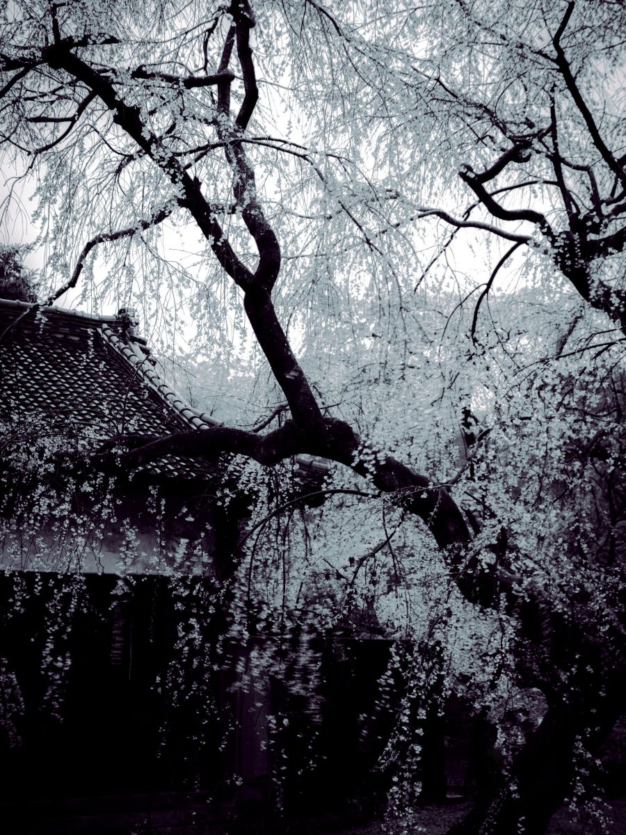 cold spring | GANREF