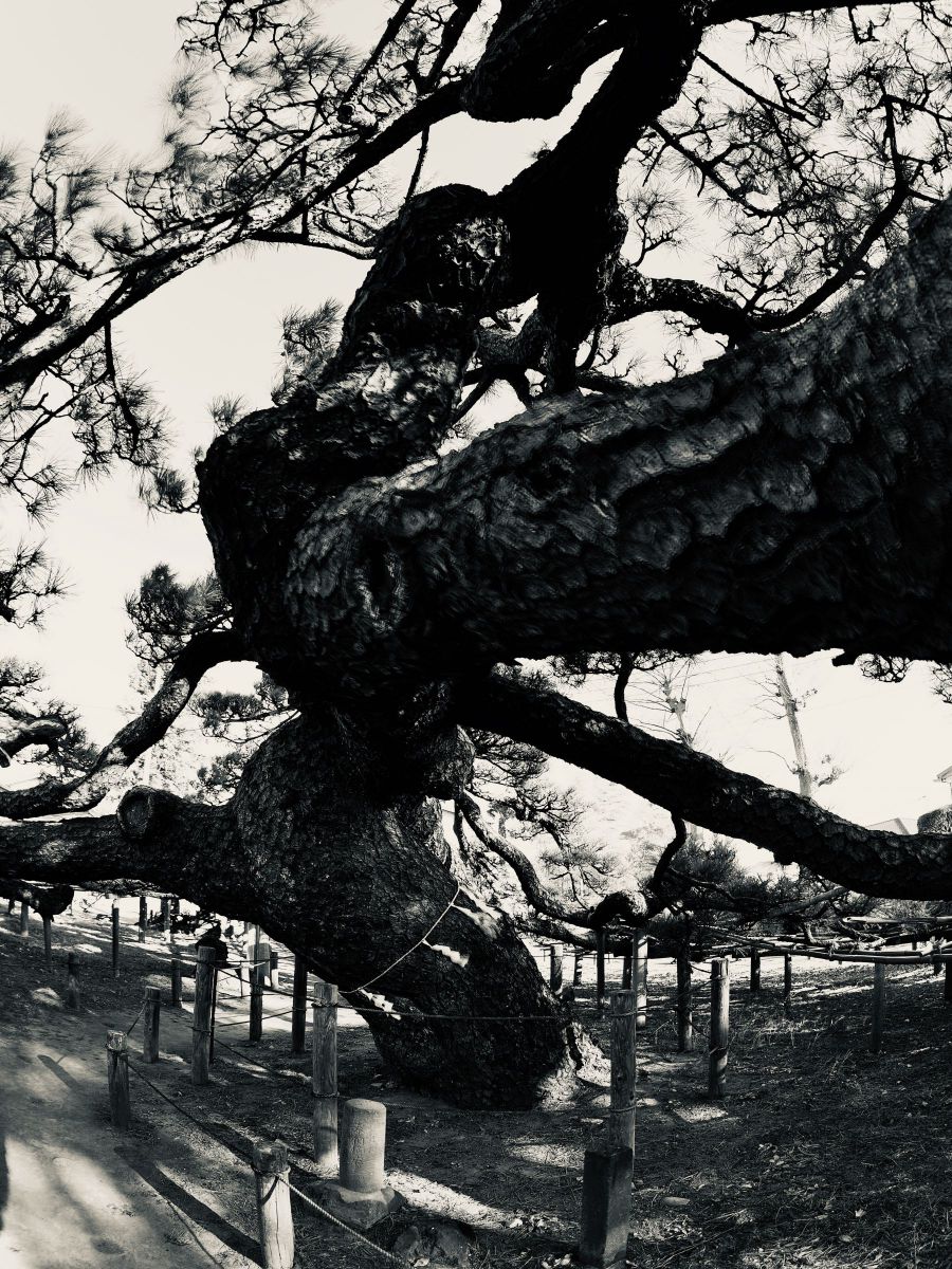 龍が如く | GANREF