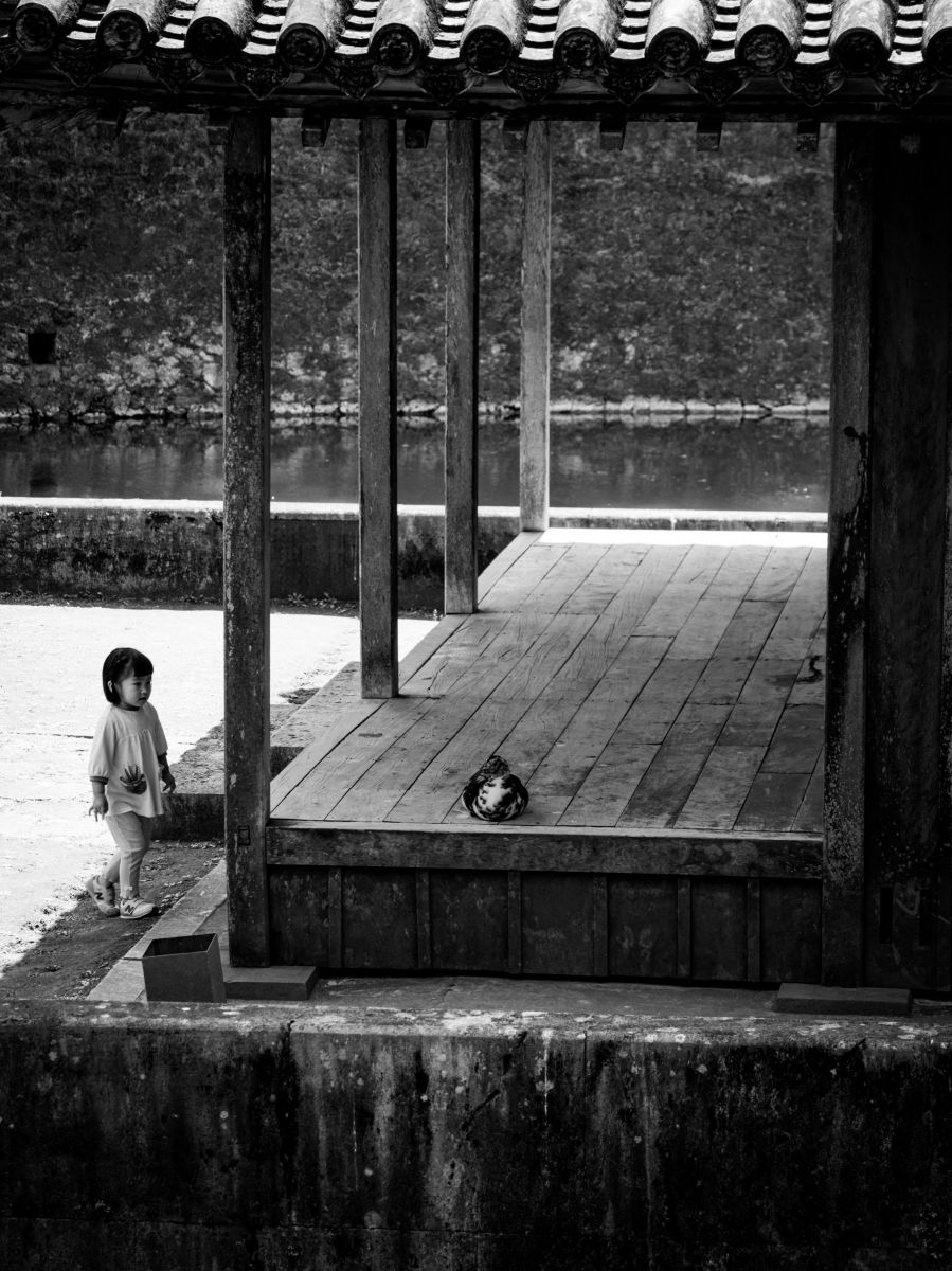 Close encounter | GANREF