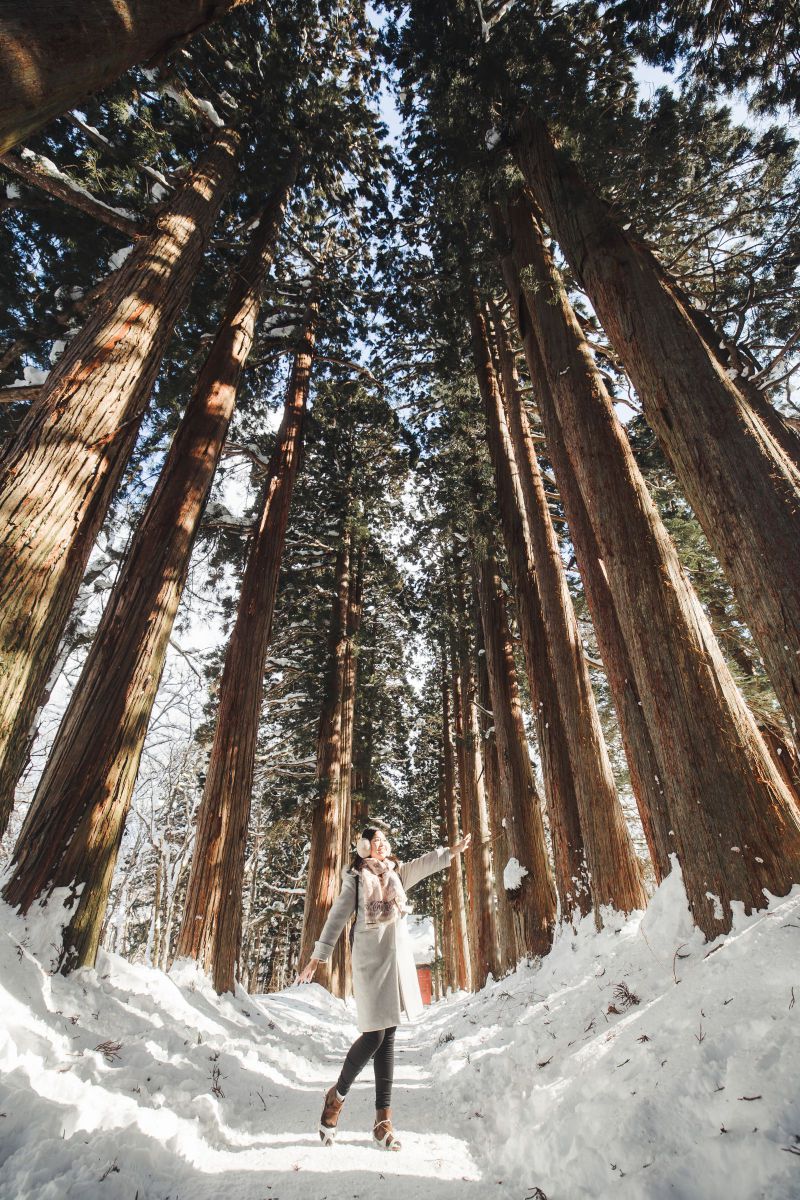 2025-01-14長野戶隱神社 | GANREF